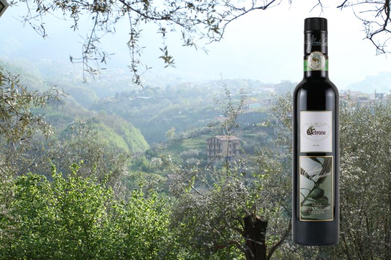 チェトローネ CETRONE | エノテカ - ワイン通販