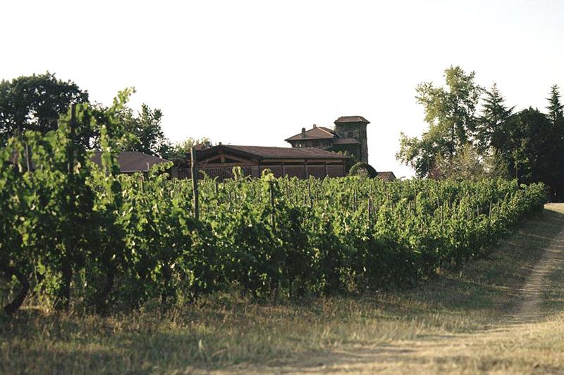 ラ・ストッパ LA STOPPA | エノテカ - ワイン通販